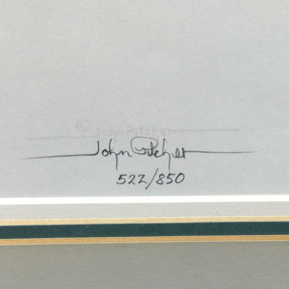 John Pitcher | Art | John Pitcher Birds Signed Numbered Terns ...